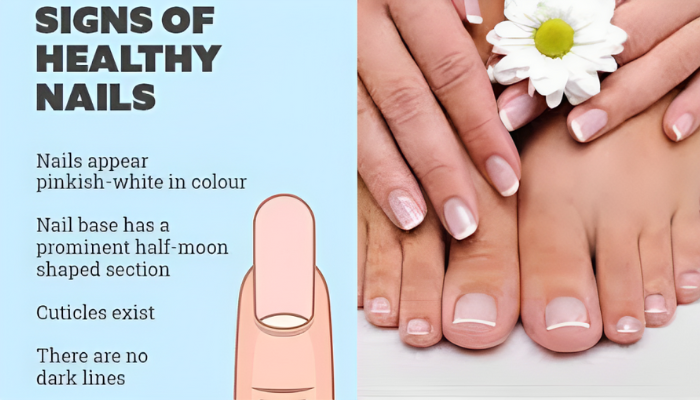 thebeautysutra
